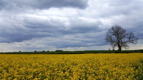 انی قریب Zeinab Aboutalebi Flickr