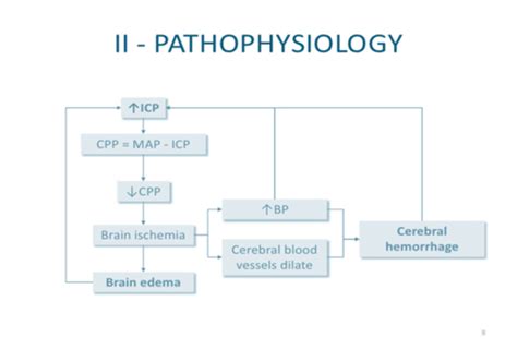 Intracranial Regulation Lecture 11 16 22 In Progress Flashcards Quizlet