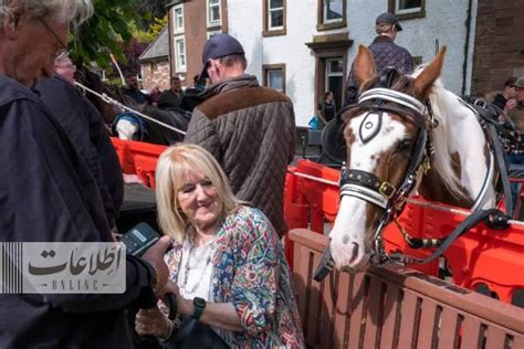 جشنواره ارابه‌های دست‌ساز با اسب‌های خاص در خیابان تصاویر