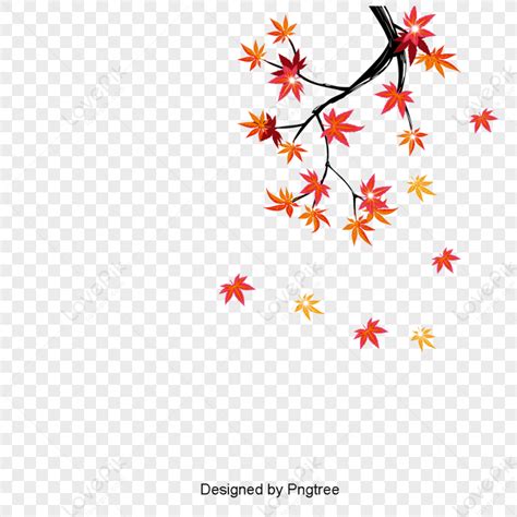 간단한 천연 식물 일러스트 원 디자인아름다움포스터 Png 일러스트 무료 다운로드 Lovepik