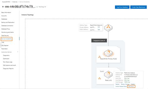 Manage Primary Secondary Switchovers And Primary Instance Elections