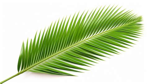 Premium Ai Image Small Empty Oval Wooden Product