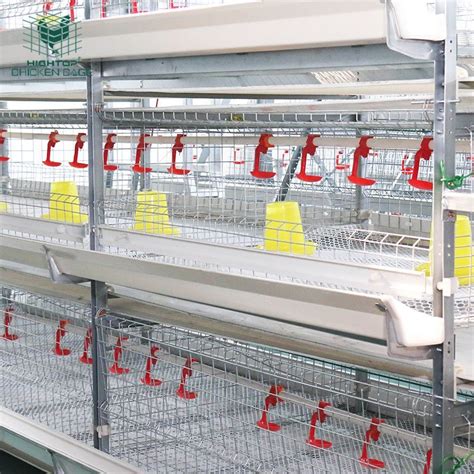 Hightop 3 Tiers H Type Hot Galvanized Poultry Broiler Chicken Farming