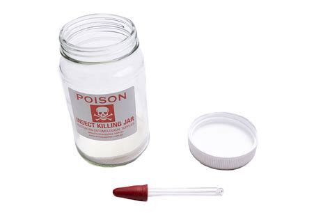 Insect Collection Kill Jar At Karrie Keane Blog