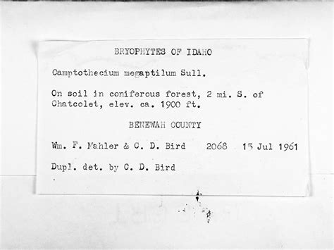 Consortium Of Bryophyte Herbaria Occurrence Profile