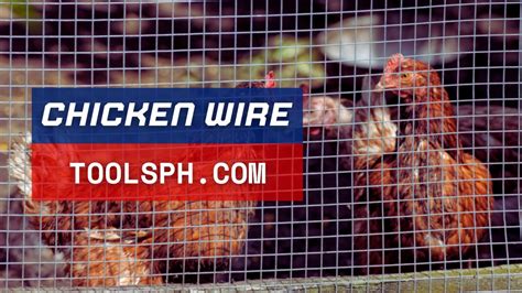 Chicken Wire Price List Philippines Updated 2025