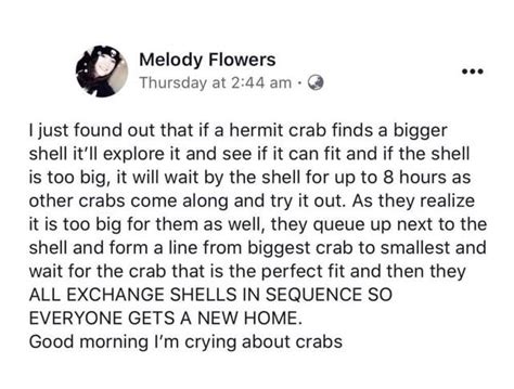 Shell Sort R Programmerhumor