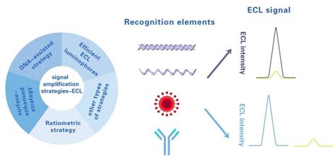 Strategies For Enhancing The Sensitivity Of Electrochemiluminescence Biosensors