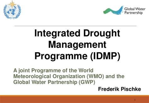 idmp cee 2nd workshop the global idmpactivity by frederik pischke
