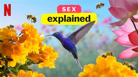 Sex Explained 2020 Netflix Flixable
