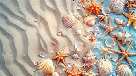 Wonderful Background With Colorful Seashells On Sand Top View Summer
