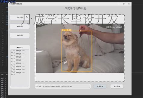 毕设开源 深度学习动物识别系统（源码论文）开源野生动物识别 Csdn博客