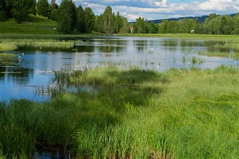 세인트 올라프의 길 순례길에 있는 초원과 호수 노르웨이 모그레이나 제스하임 근처의 리세브루 순례자 호스텔의 구드브란트스달슬레덴 홍수에 대한 스톡 사진 및 기타 이미지