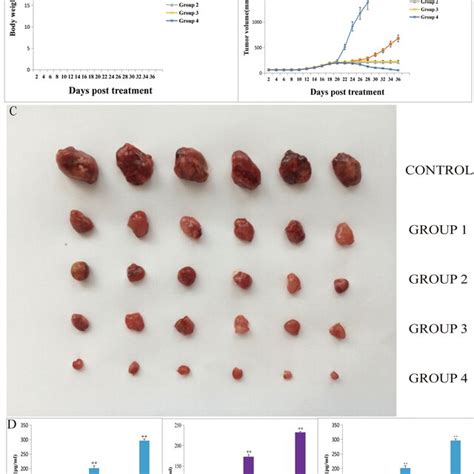 Analysis Of The Growth Of Pbmc Activated Carher2 Cells In Mice A The
