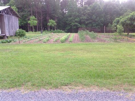 Farmer Browne Coushatta La