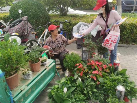 淮北市发改委第一党支部赴梅苑社区开展“一月一相逢”主题党日活动淮北市发展和改革委员会（淮北市粮食和物资储备局、淮北市能源局）