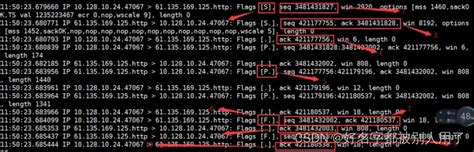 Tcpdump使用tcpdump显示端口号 Csdn博客