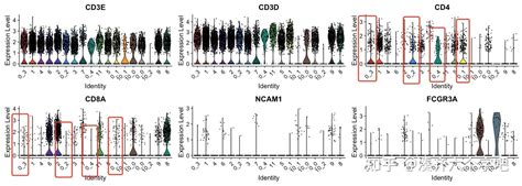 单细胞实战之亚细胞分群从t Nk至cd4 T细胞——从入门到进阶 中级篇1） 知乎