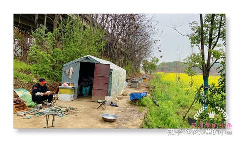 10种长寿职业 养蜂人高居榜首