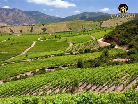 Rượu Vang Chile Ochagavia Don Silvestre Gran Reserva Cabernet Sauvignon