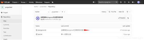 Git命令基础使用之gitlab拉取项目、提交分支、切换分支、合并分支、删除分支。gitlab切换分支 Csdn博客