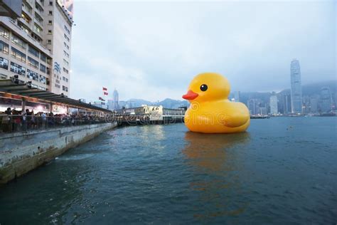 A Giant Yellow Rubber Duck Floating On Victoria Harbour 6 May 2013