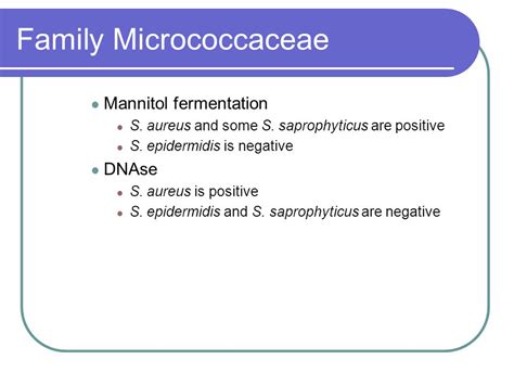 Micrococcaceae Ppt Video Online Download