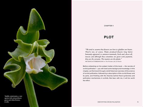 Demystifying Orchid Pollination By Adam P Karremans Stories Of Sex Lies And Obsession