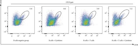 B Cell Facilitate Tfh Cell Differentiation And CXCL13 Secretion In