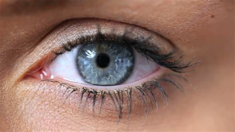 Nose Stock Footage Video Shutterstock