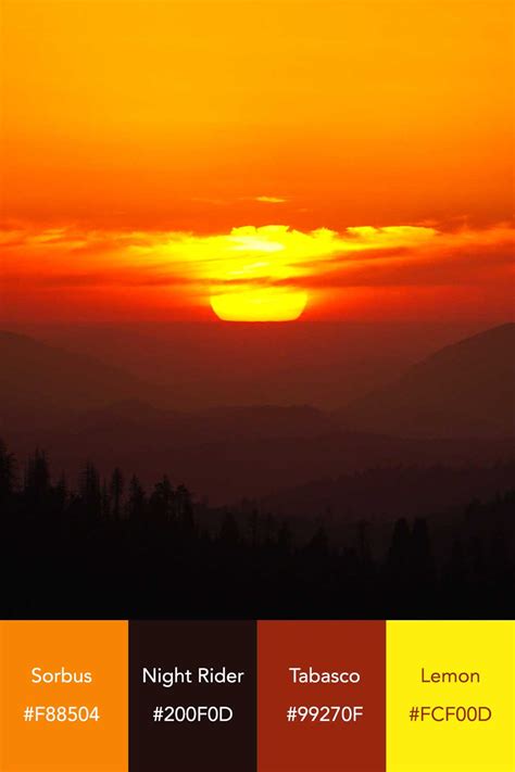 Sunset Color Palette With Hex Codes For You Download Now Artofit