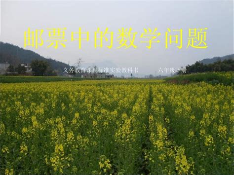 邮票中的数学问题 word文档在线阅读与下载 无忧文档