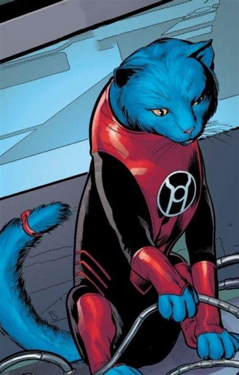 I Just Know He Would Take Dc By Storm If He Got A Proper Live Action