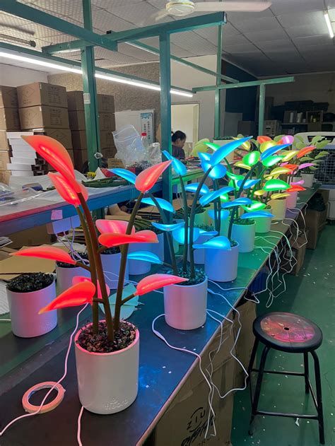 Fluora Mini Production Update | Fluora