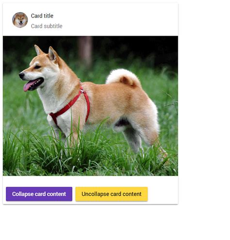 How To Make A Collapsible Card With Angular And Material Design By Ramin Ahmadi Medium