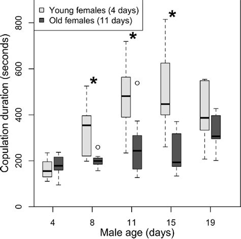 Figure 1 From Age Dependent Male Mating Investment In Drosophila