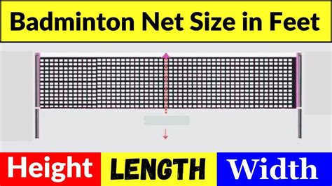 Badminton Court Measurement Net Height At Francisco Donnelly Blog
