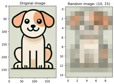 Pytorch 공부 0 Torchvision의 주요 모듈 1 Torchvisiontransforms 1