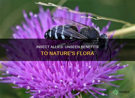 Insect Allies Unseen Benefits To Natures Flora Shuncy