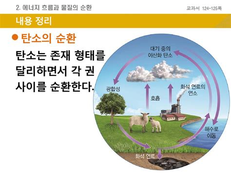 미래엔 엠티처