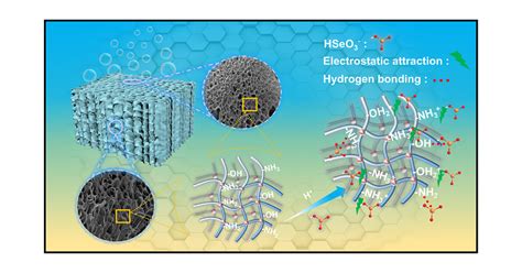 Directional Freeze Drying Mediated Chitosan Aerogel With Ordered