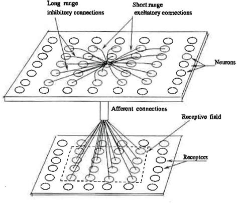 Figure From A General Hebbian Learning For Nonlinear Neuron With