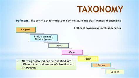 Classification And Taxonomy Pptx