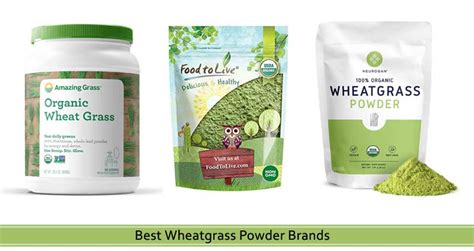 10 Best Wheatgrass Powder Brands To Buy In 2025 Product Reviews