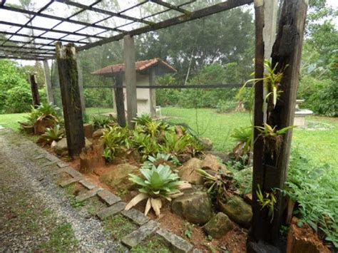 5 Important Characteristics Of Insect Netting For Garden House And Family Tips