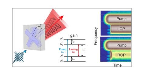 Ultrathin Dynamically Controllable Circularly Polarized Emission Laser Enabled By Resonant