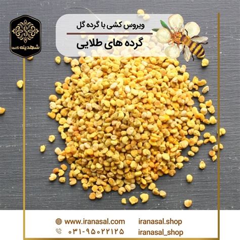 گرده گل، ویروس کشی با گرده گل گرده گل یک ضد عفونی کننده قوی است بسیاری