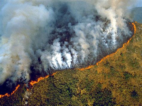 Amazon Rainforest Reaching Its Tipping Point Eco Nnect