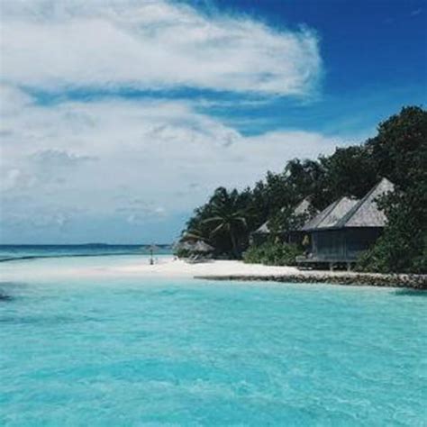 Caitlyn Johnson And Marc Laszczs Wedding Registry On Zola