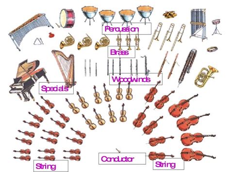 Strings Woodwind Brass Keyboards And Percussion At Timothy Orear Blog